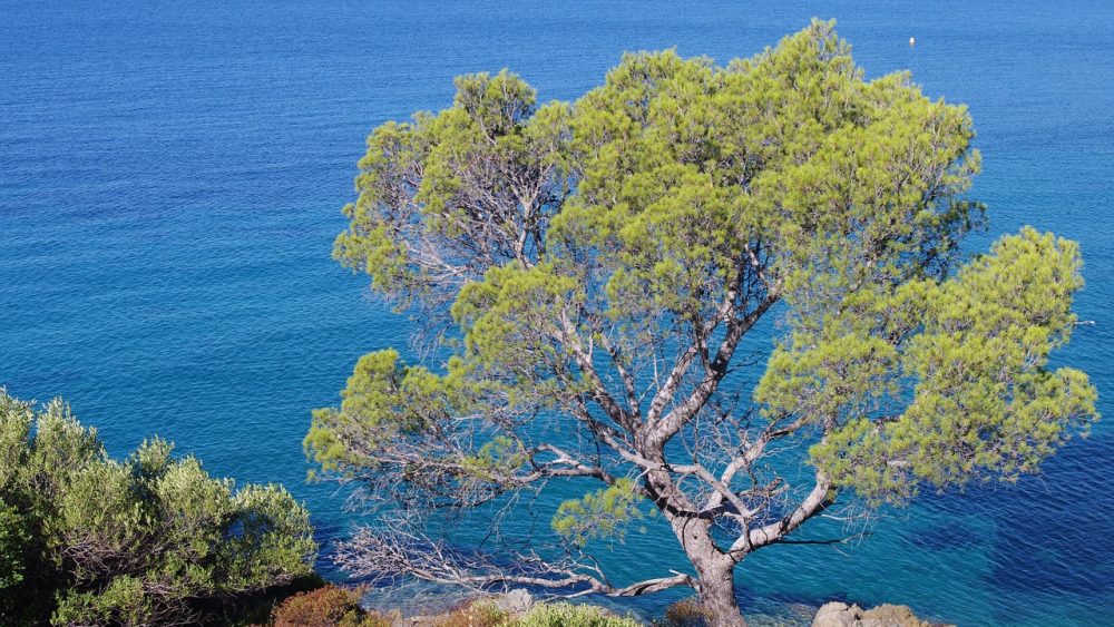 Accueil - Le Val-Ouest