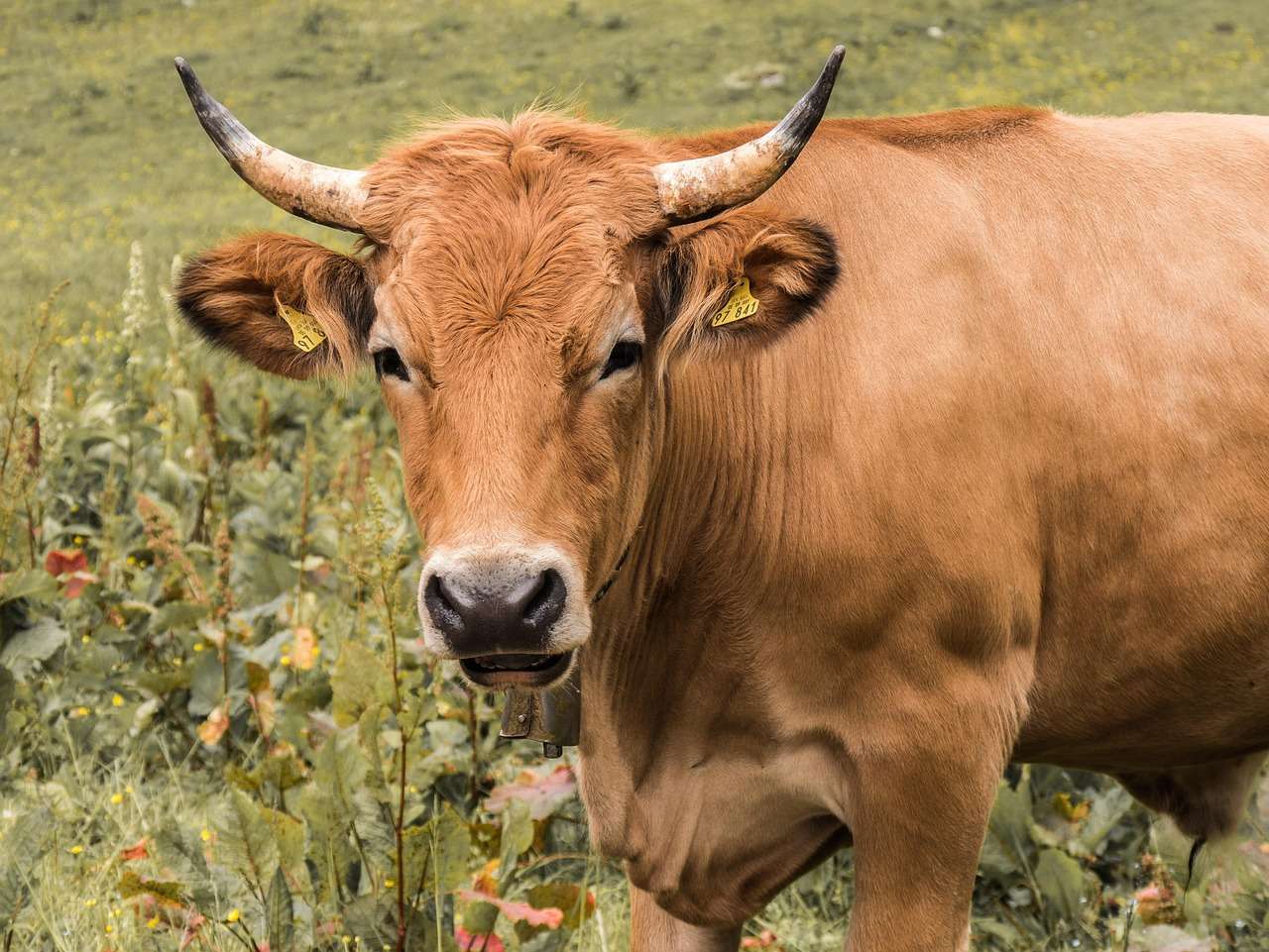 La FRAQ dévoile sa plateforme de 26 revendications - Le Val-Ouest