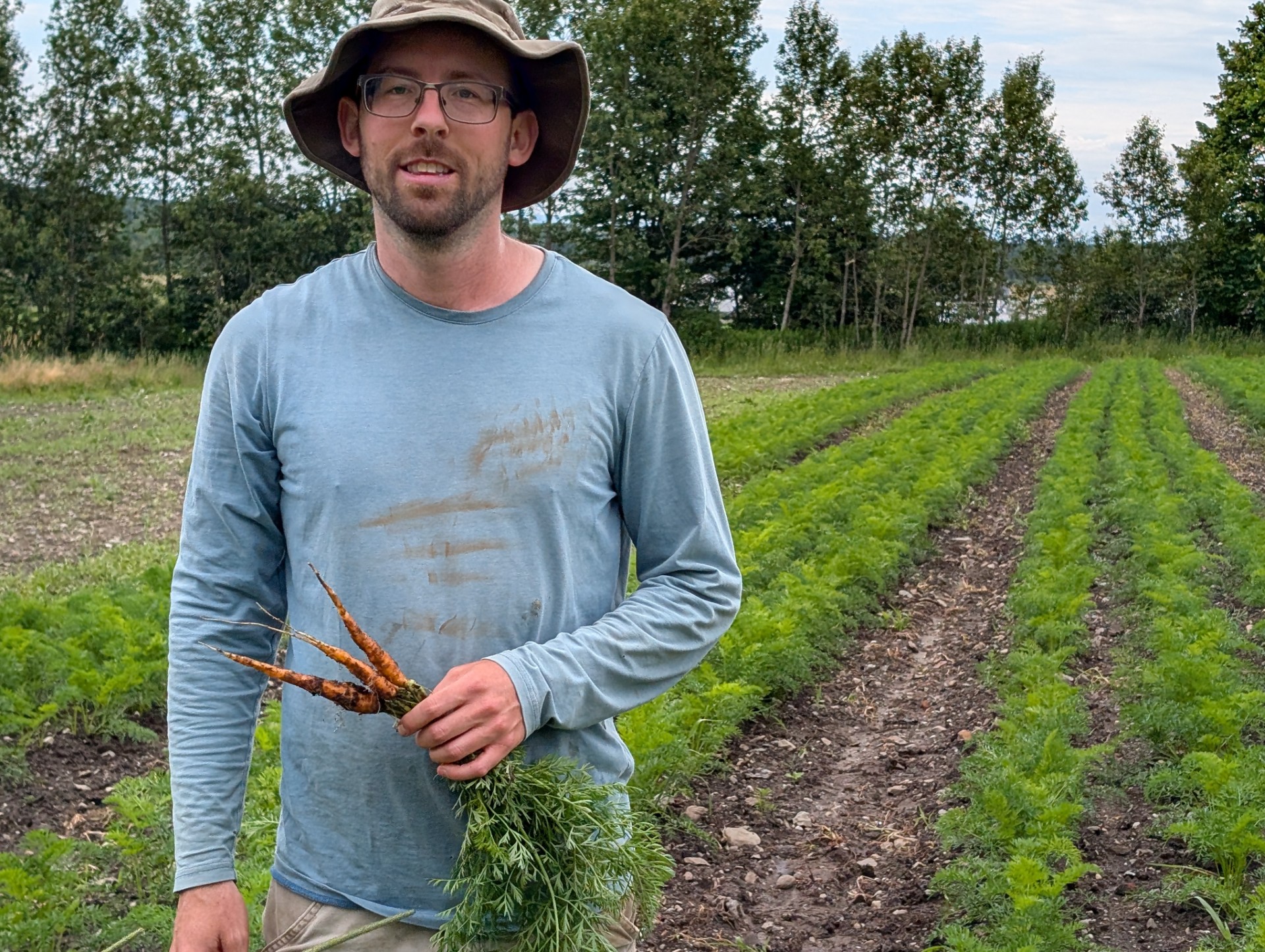 Carottes pour Moisson Estrie : un appel aux bénévoles - Le Val-Ouest